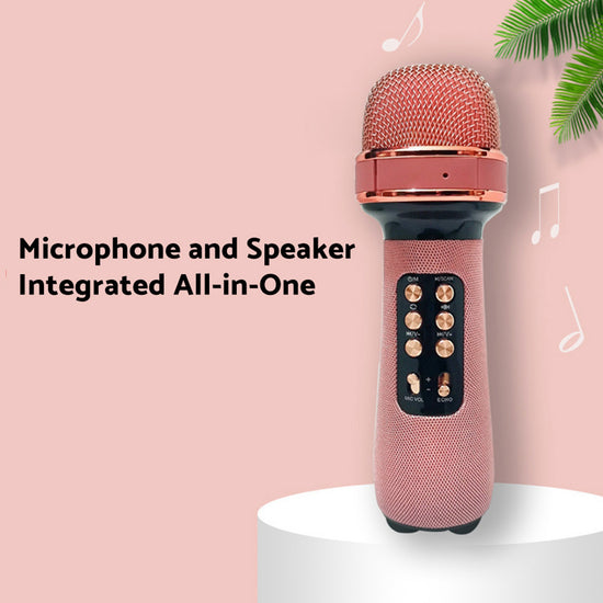Wireless Bluetooth Karaoke Microphone Speaker Rechargeable – Kaka Auto ...